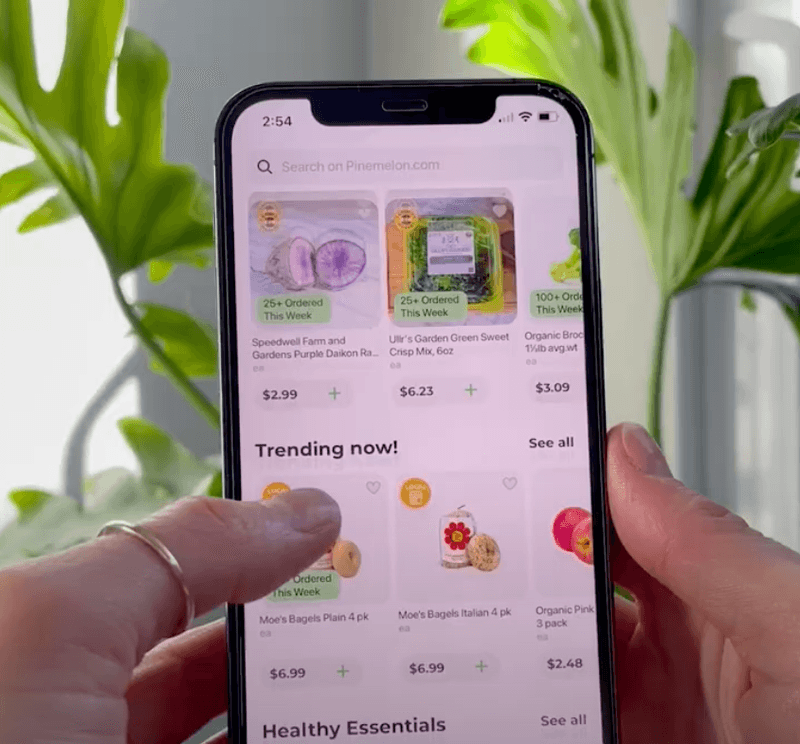 Welcome to PineMelon